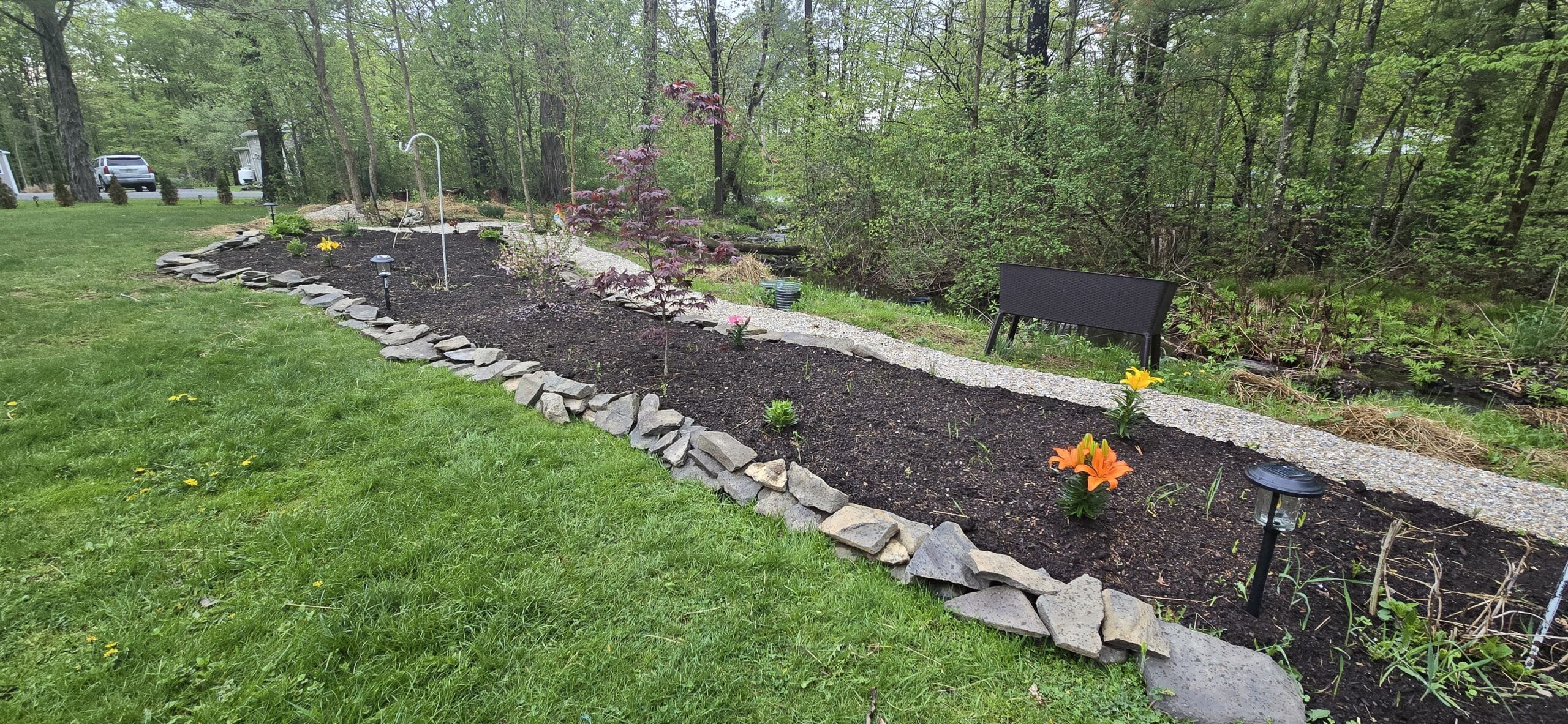 Early May 2025 Rain & Garden Projects - Frank Davis